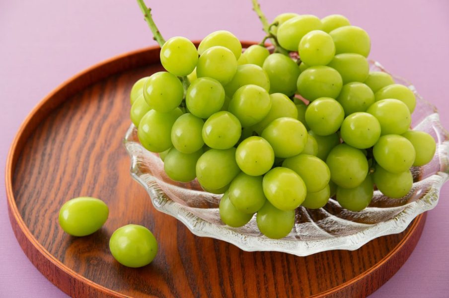 日本麝香葡萄超人氣5品種圖鑑！挑選麝香葡萄秘訣、必帶伴手禮